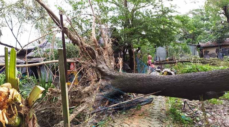 Cyclone bulbul has effected many districts of West Bengal on Saturday