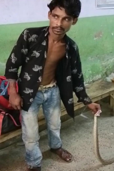 Man gets snake bite, visits hospital with the venomous snake । Sangbad ...